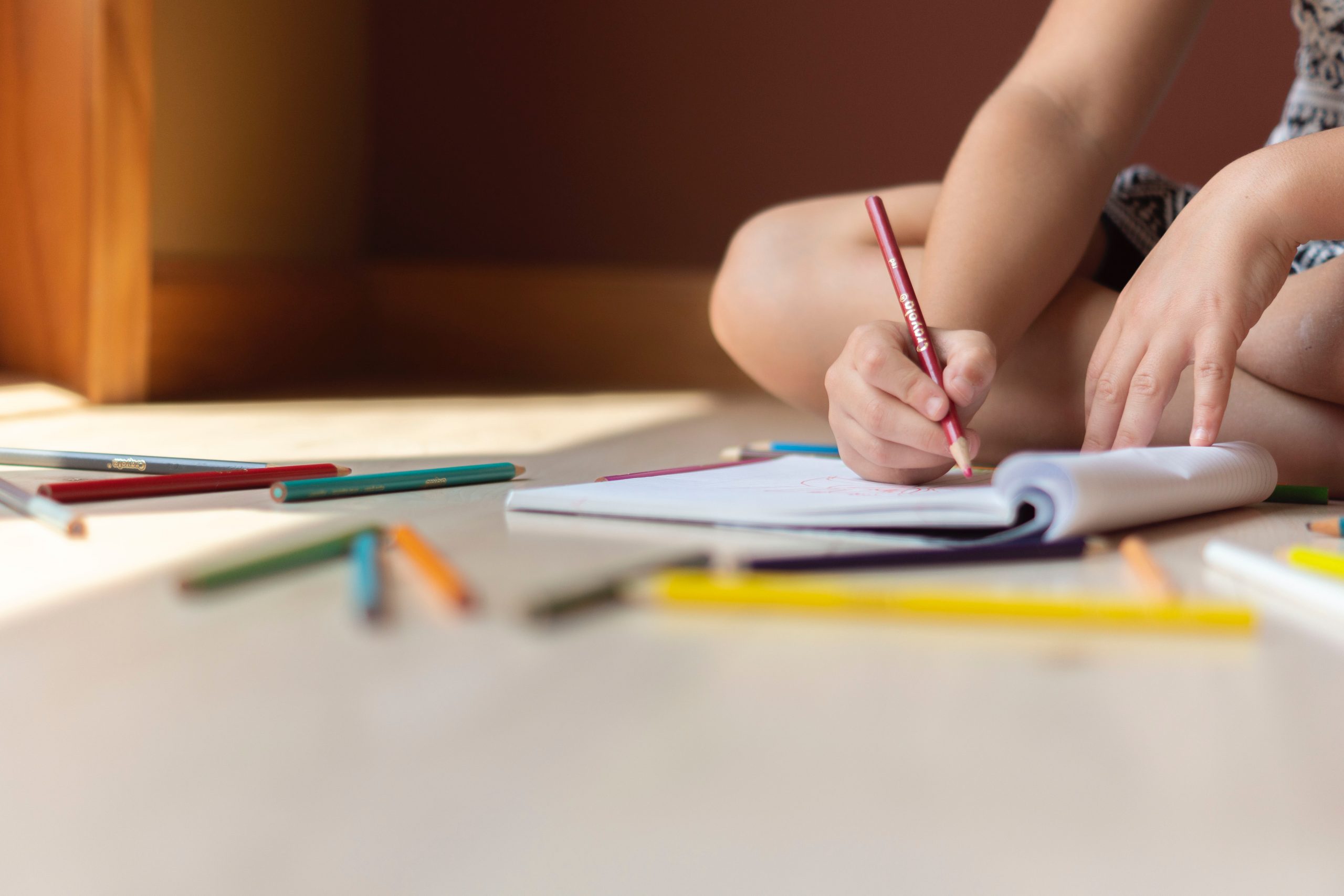 Cognition: 5 basic concepts to enhance learning