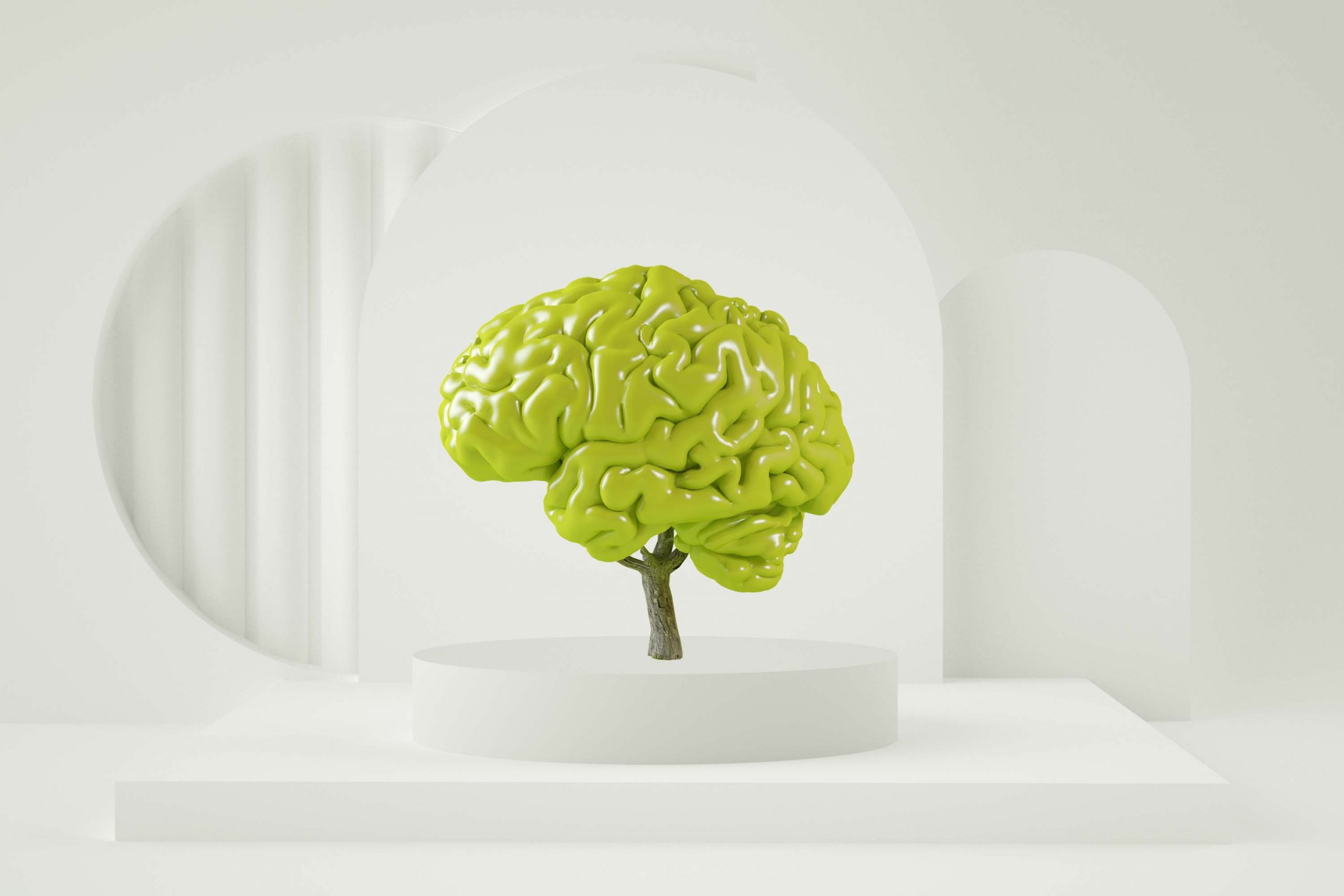 What are cognitive skills?